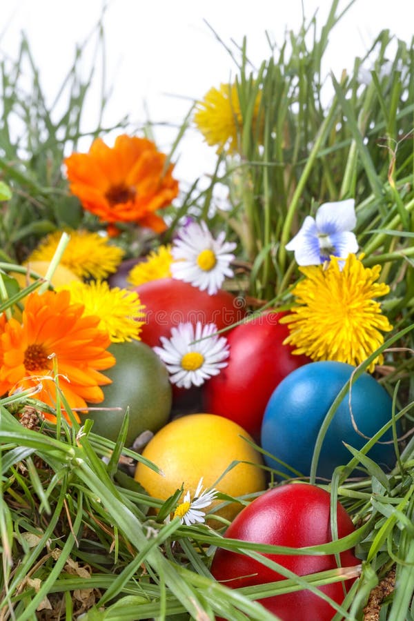 Easter eggs stock image. Image of closeup, house, decorative - 39886297
