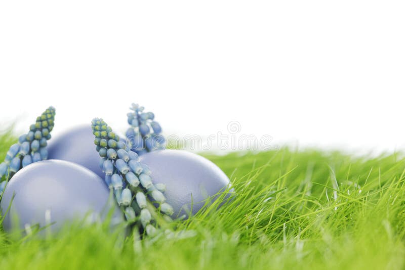 Easter eggs stock image. Image of paint, nature, seasonal - 38468349
