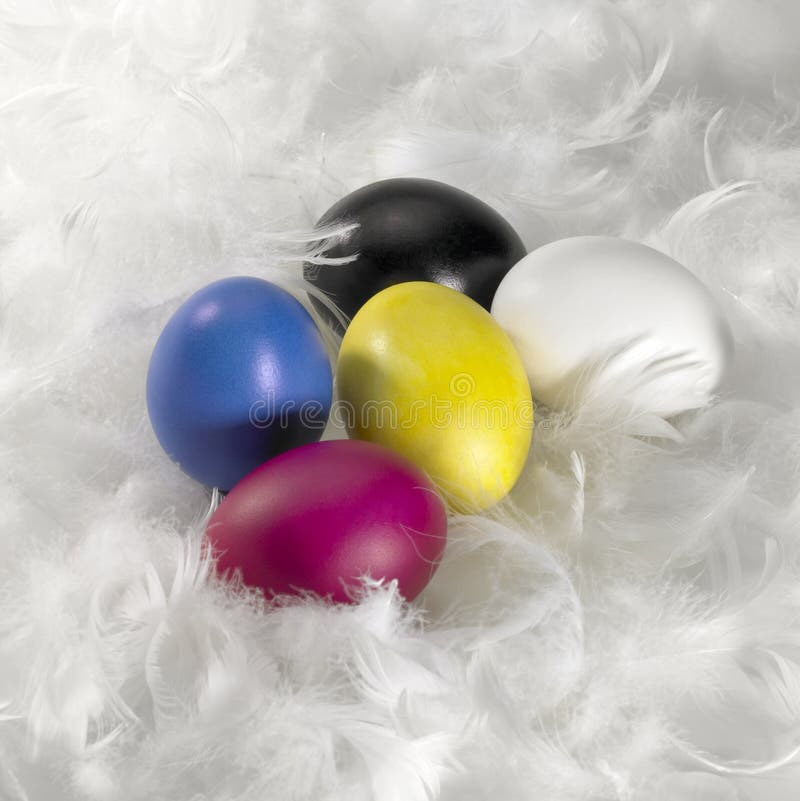 Easter Egg and Down Feathers Stock Image - Image of easter, contrasts ...