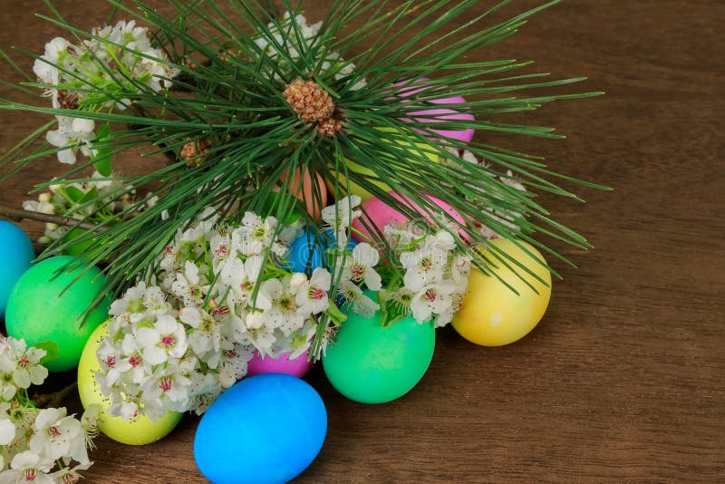 Easter Eggs on a Flowering Tree Branch Stock Photo - Image of closeup ...