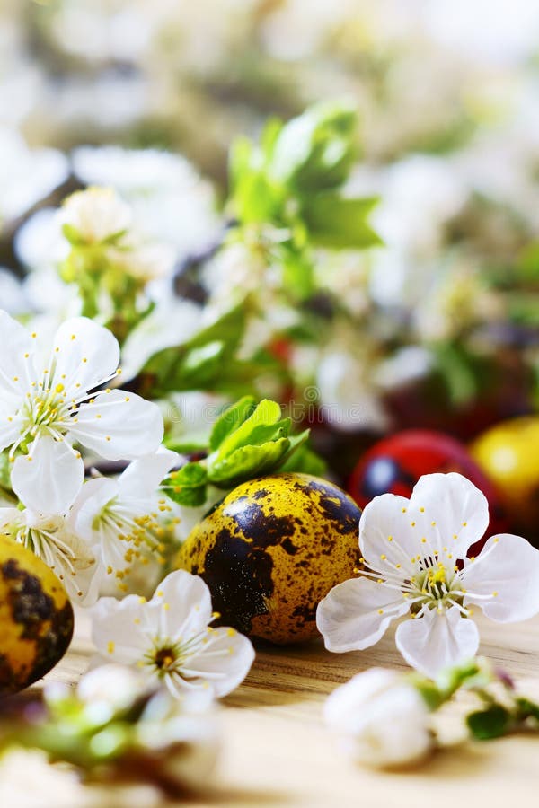 Easter Eggs, Flowers and Fruit Trees Stock Image - Image of nature ...