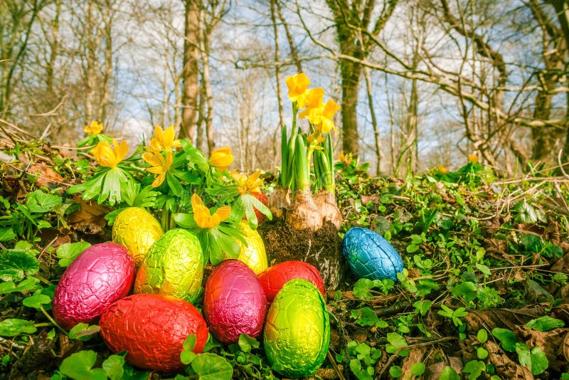 Easter eggs in a forest stock image. Image of happy, closeup - 51589223