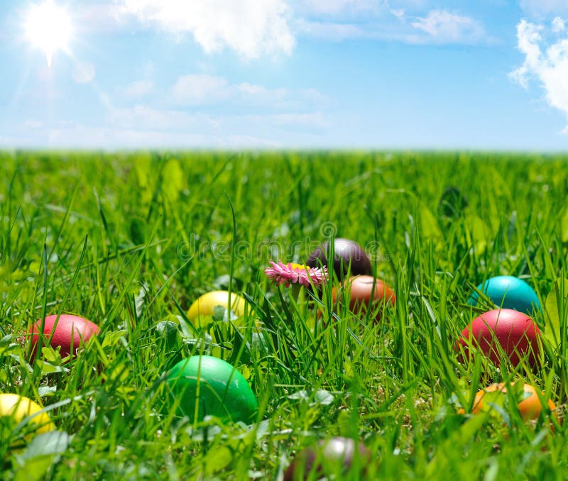 Easter eggs in grass stock image. Image of daisy, grass - 22836927 Easter eggs in grass stock image. Image of daisy, grass - 22836927