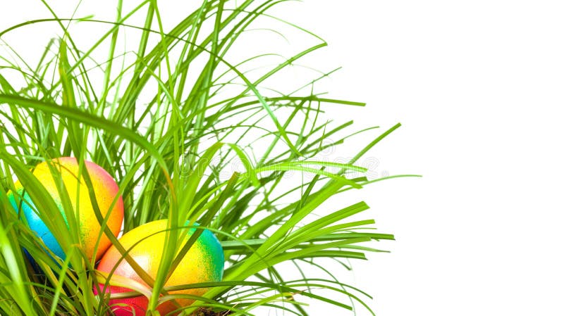 Easter eggs in grass stock image. Image of eggs, greetings - 51847679