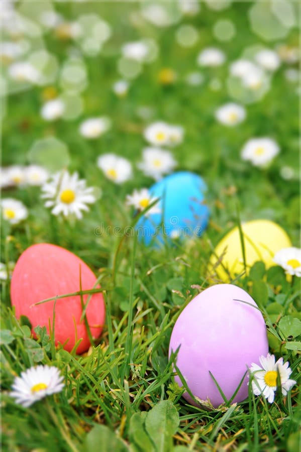Easter Eggs on the Grass Flower Stock Image - Image of nest, elements ...