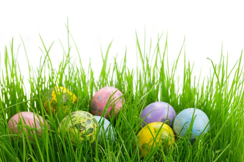 Easter eggs with hyacinth stock photo. Image of rabbit - 66837474