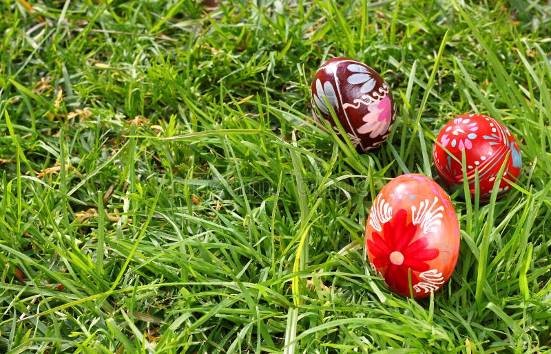Easter eggs in grass stock image. Image of border, grass - 36631059