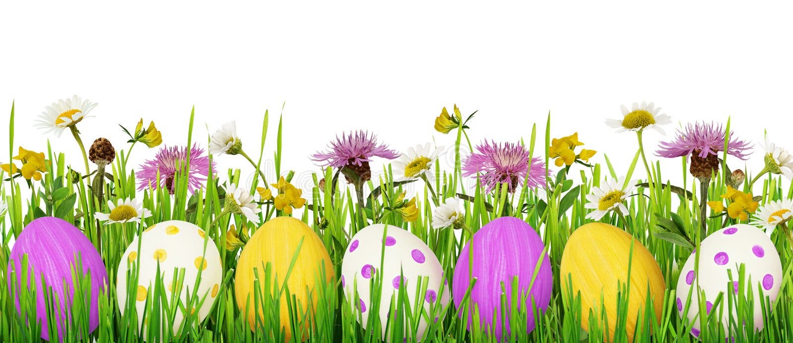 Spring Easter borders stock photo. Image of green, bright - 12831134