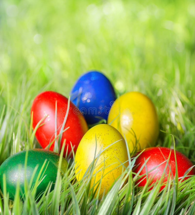 Easter eggs on green grass stock photo. Image of meadow - 172167036