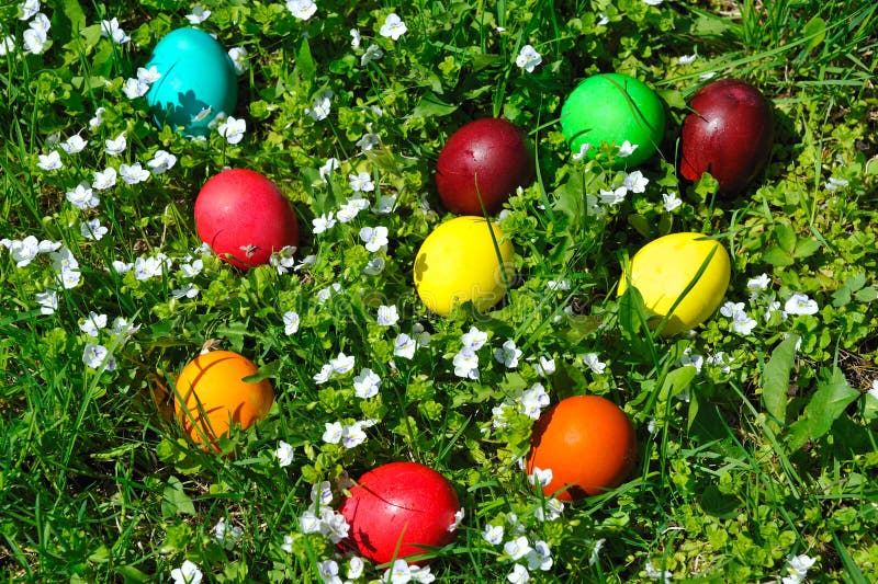Easter eggs in green grass stock image. Image of paint - 23725575