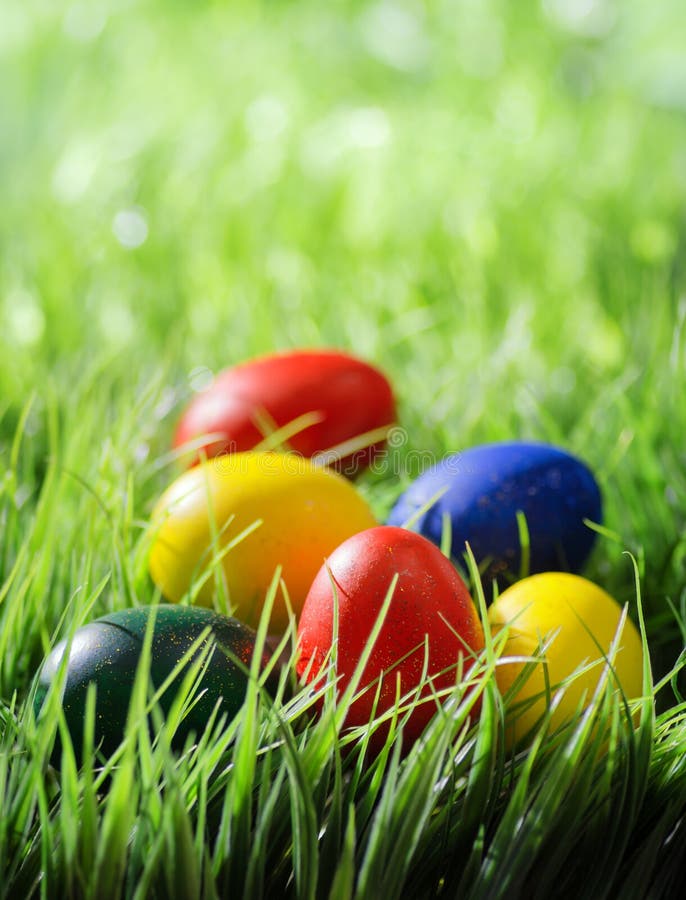 Easter eggs on green grass stock image. Image of blue - 29531097
