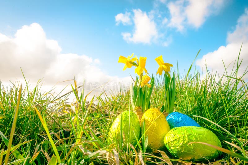 Easter eggs in green grass stock photo. Image of blue - 51589328
