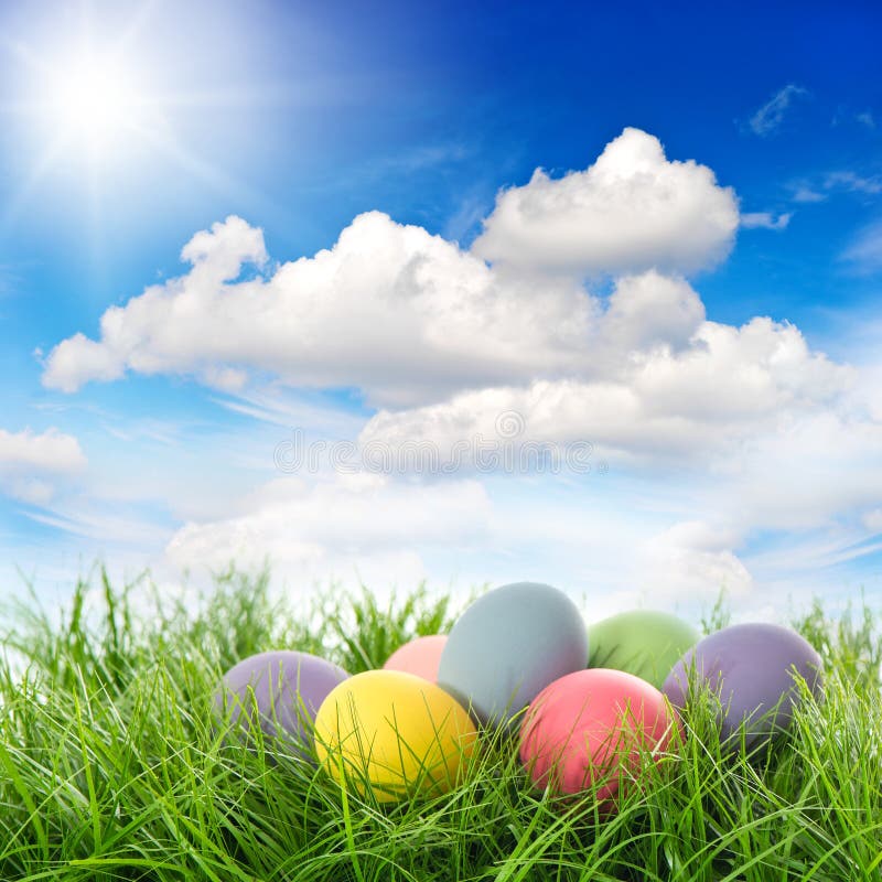 Easter Eggs in Green Grass. Sunny Blue Sky Stock Photo - Image of blue ...