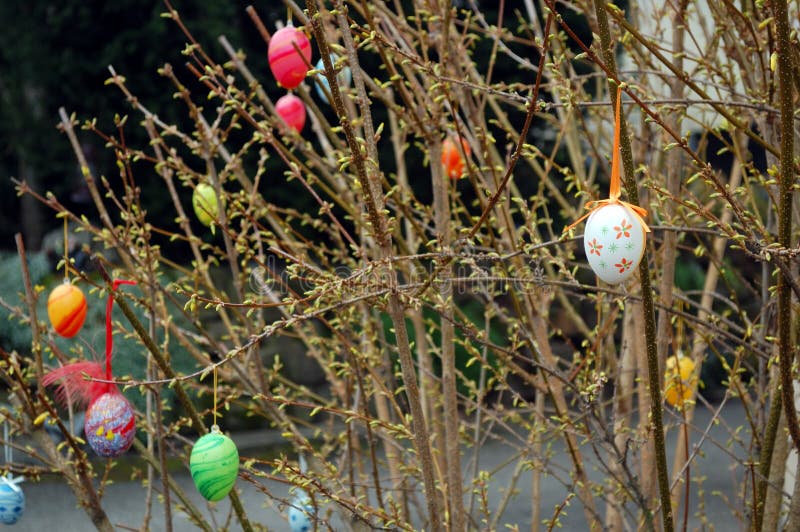 Easter eggs stock image. Image of bush, colors, ornamental - 30945477