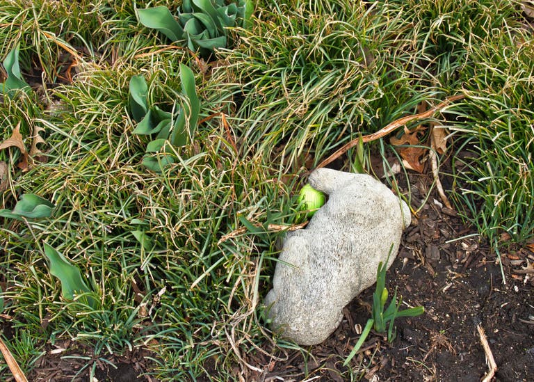 Easter Eggs Hidden with Fallen Rabbit Statue in Midwestern Garden ...