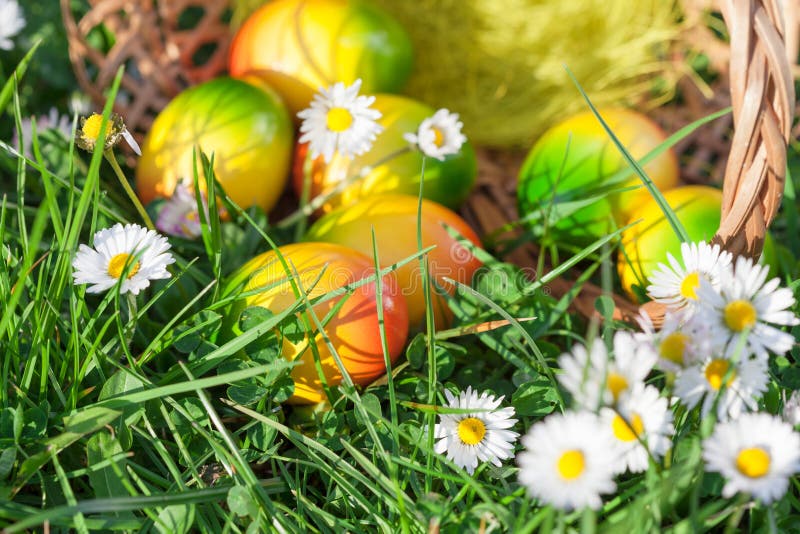 Easter Eggs Hidden in Green Grass Stock Image - Image of celebration ...
