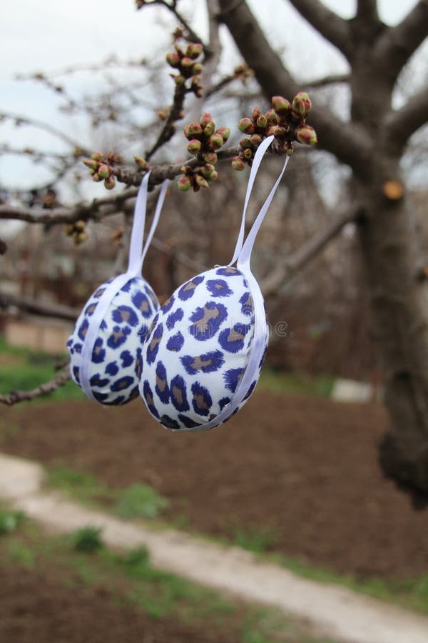 Easter Eggs in Leopard Design Hang on a Young Tree. Stock Image - Image ...