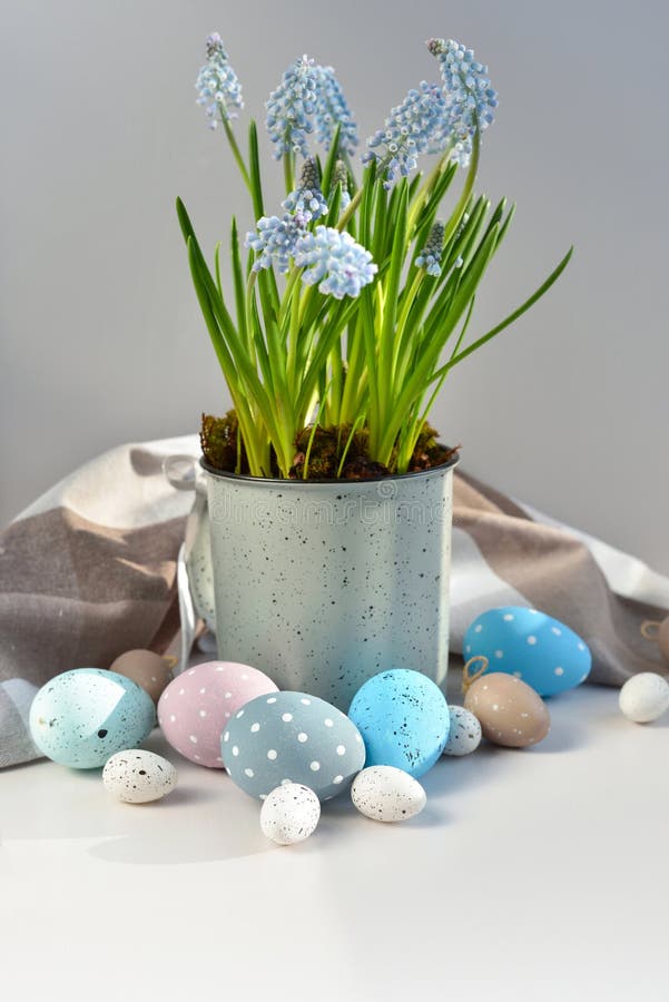Easter Eggs and Light Blue Muscari Flowers in Cup on a White Table ...