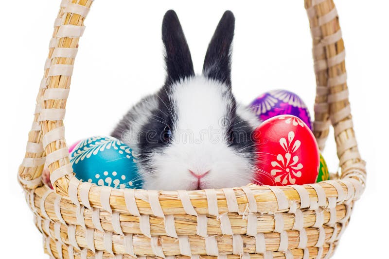 Easter Eggs with Little Bunny Stock Photo - Image of little, holiday ...