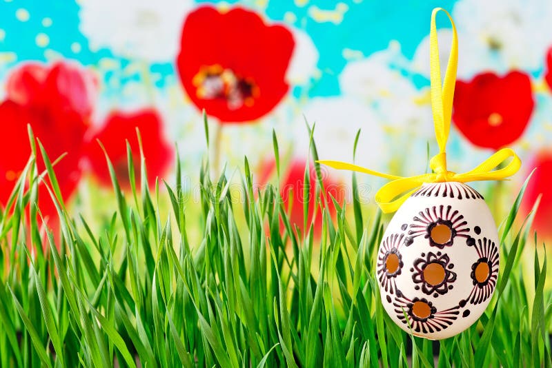 Easter eggs stock photo. Image of environment, meadow - 135637520