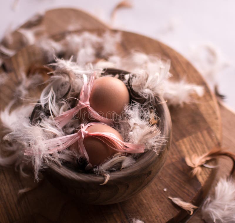 Easter Eggs in the Nest of Feathers. Stock Image - Image of nature ...