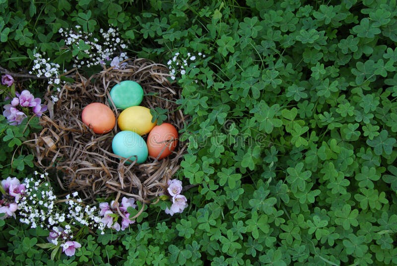 Spring Flower Frame stock photo. Image of invitation, mothers - 8131894