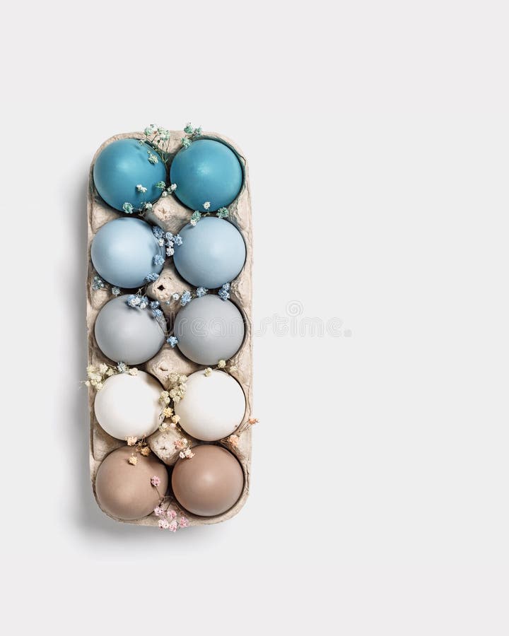Easter Eggs Pastel Colored in Egg Box Decorated Small Flowers. Minimal ...