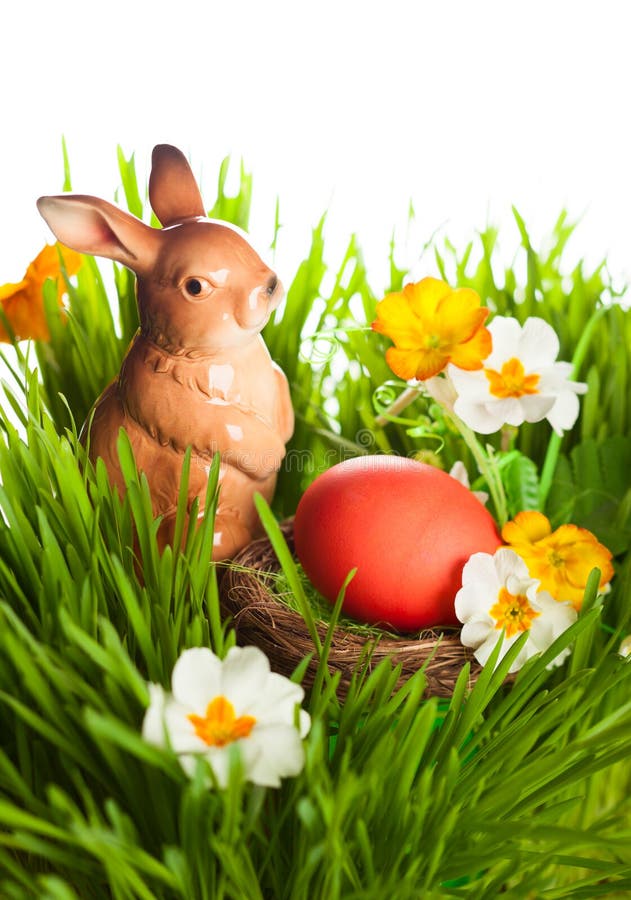 Easter rabbit stock photo. Image of traditional, rabbit - 12475024