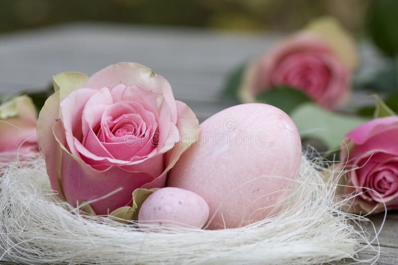 Easter Eggs with Rose Close-up Stock Photo - Image of decoration, life ...