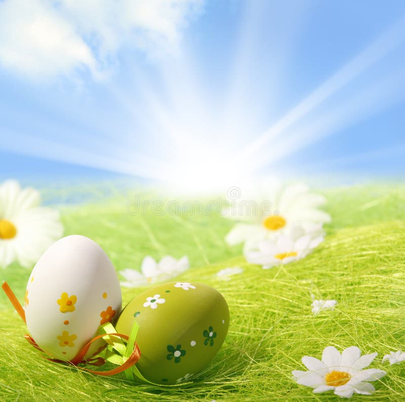 Easter Eggs with Flowers in Grass on Blue Sky Stock Image - Image of ...