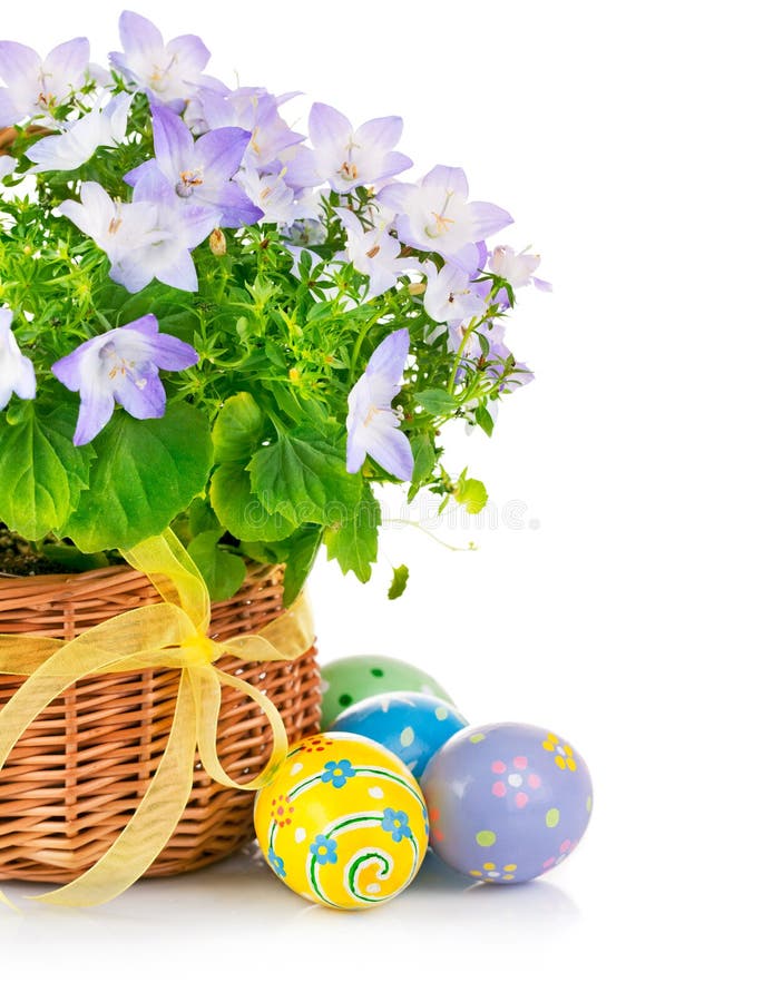 Easter Eggs with Spring Flower in Basket Stock Photo - Image of flower ...