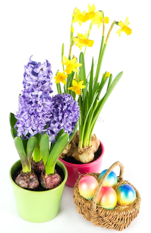 Easter Eggs with Spring Flowers Stock Photo - Image of easter ...