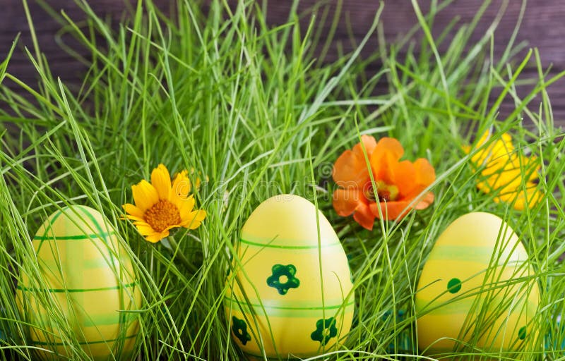 Easter Eggs and Spring Flowers Stock Image - Image of hide, element ...
