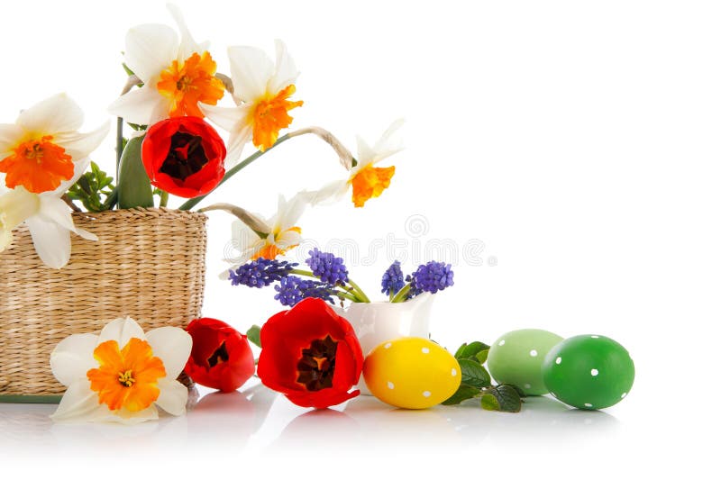 Easter Eggs with Spring Flowers in Basket. Isolated White Stock Image ...