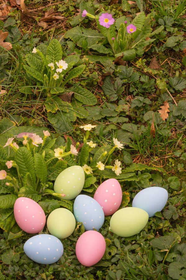 Easter Eggs on Spring Flowers Field Stock Photo - Image of celebration ...