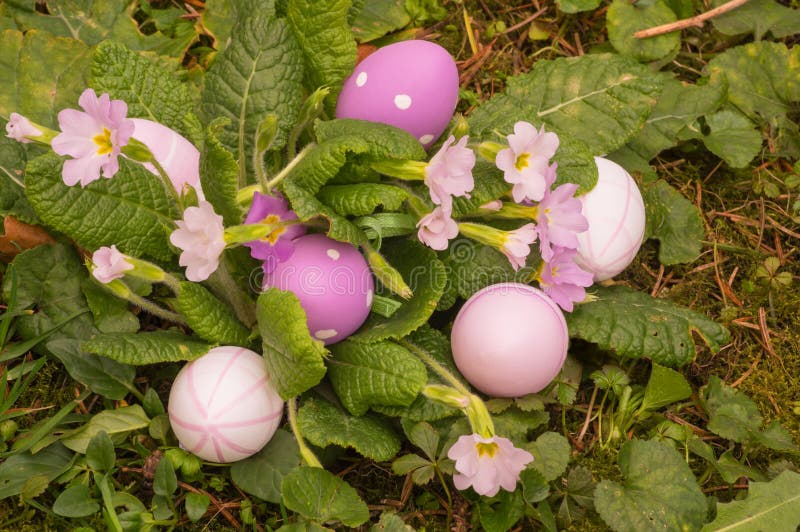 Easter Eggs on Spring Flowers Field Stock Image - Image of primrose ...