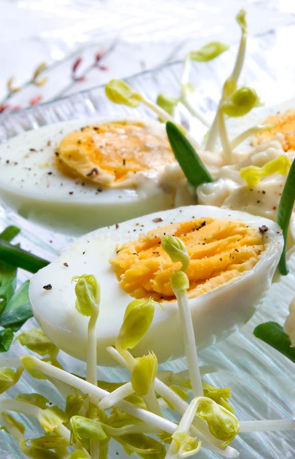 Easter eggs with sprouts stock photo. Image of healthy - 4208244