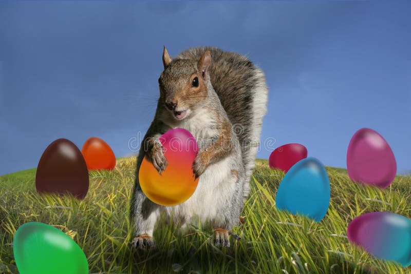 Easter eggs and squirrel. stock illustration. Illustration of chocolate ...