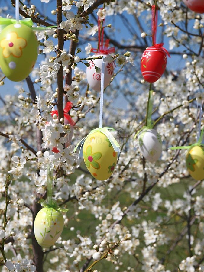 Easter eggs on tree stock photo. Image of branch, traditional - 18970906
