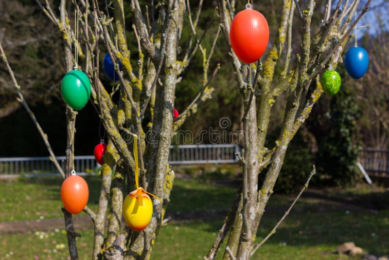 Easter eggs on tree stock photo. Image of green, easter - 103476742