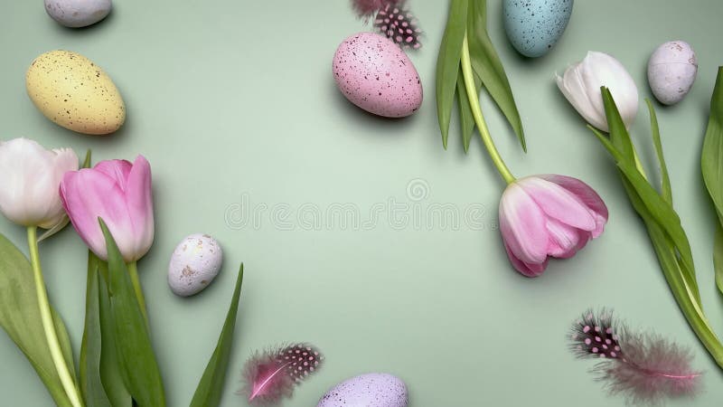 Easter Eggs and Tulips Gently Rotating on Pastel Green Background Stock ...