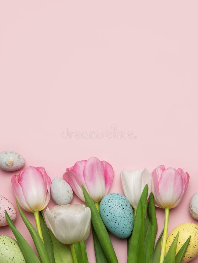 Easter Eggs and Tulips Creating a Festive Spring Border on Pink ...