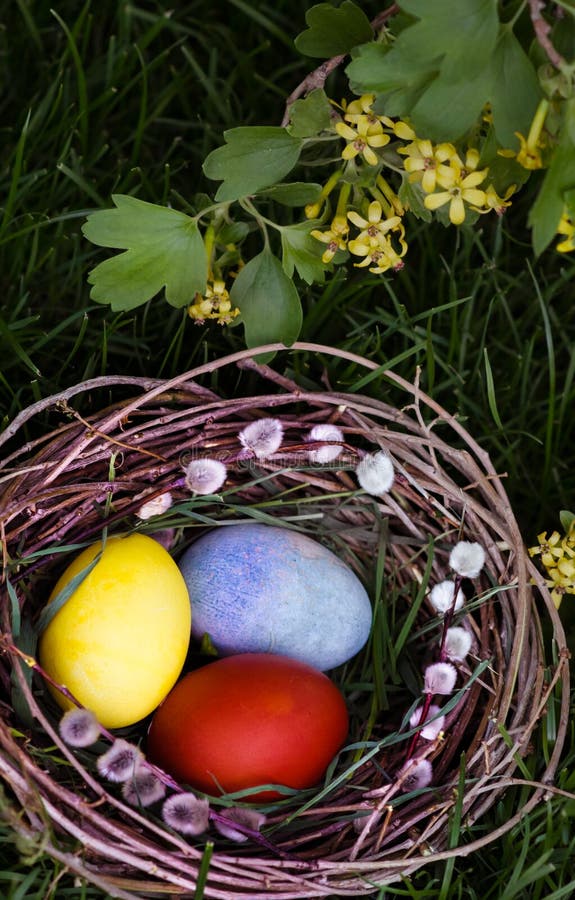 Easter Eggs Under the Flower Bush. Stock Image - Image of catholic ...