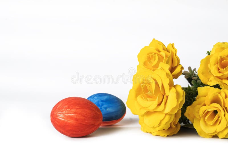Easter Eggs and Yellow Roses Isolated on White Background with Copy ...