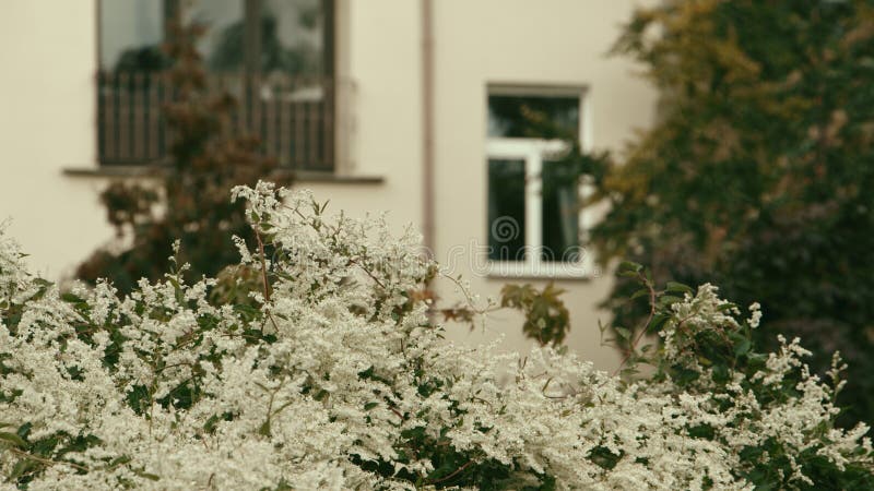 Easter European Building Facade Stock Photo - Image of landmark ...