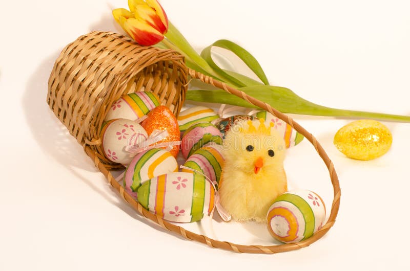 Fluffy Chicling Stock Photos - Free & Royalty-Free Stock Photos from ...