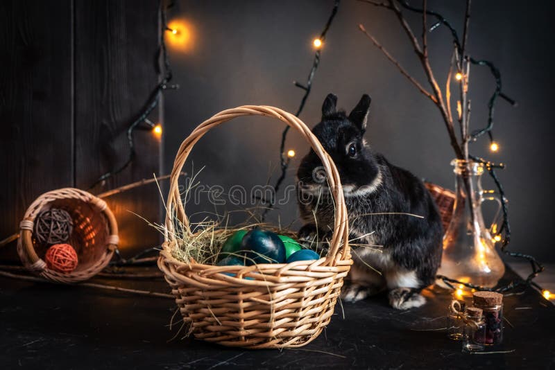 Easter Holiday: a Little Black Easter Bunny and a Wicker Basket with ...