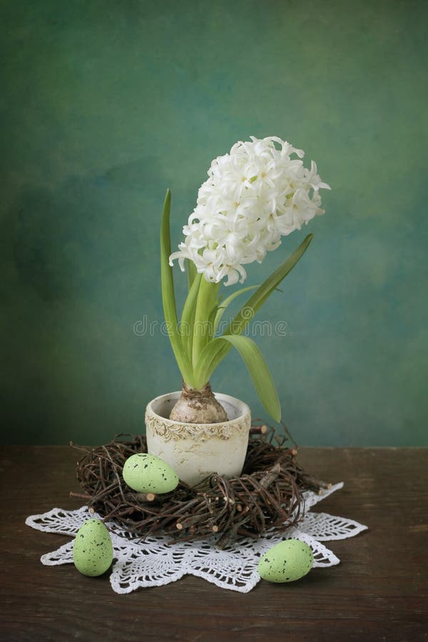 Easter Egg and and Hyacinth Flower, Happy Easter Amd Vernal Flowers ...