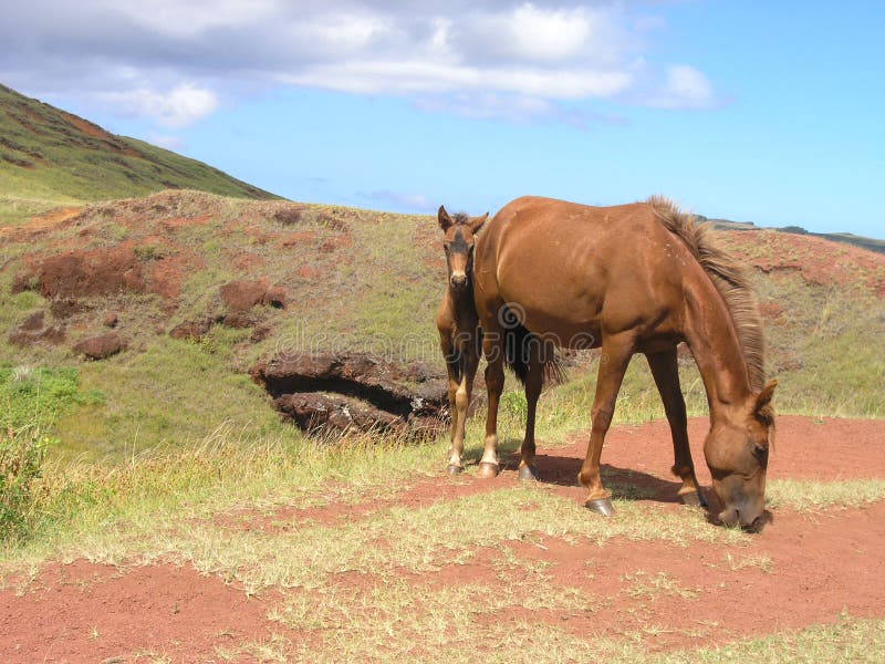 Easter ISland - Puna Pau stock photo. Image of poike, mystic - 162616