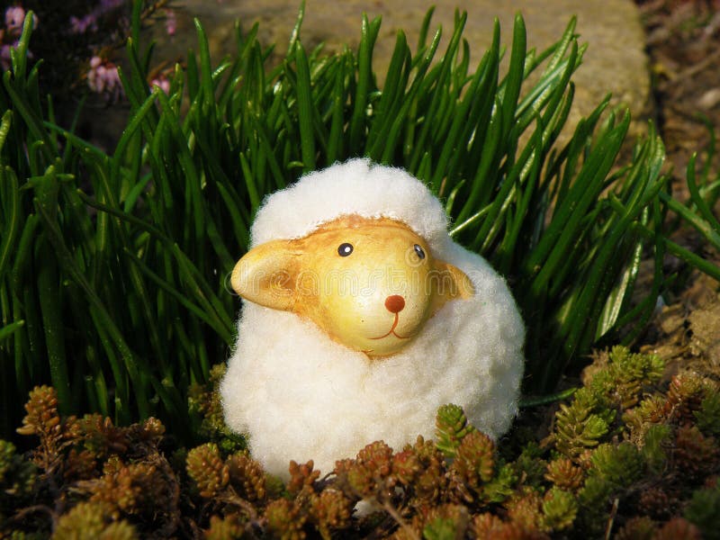 Little lamb stock photo. Image of woollen, easter, baby - 12487158